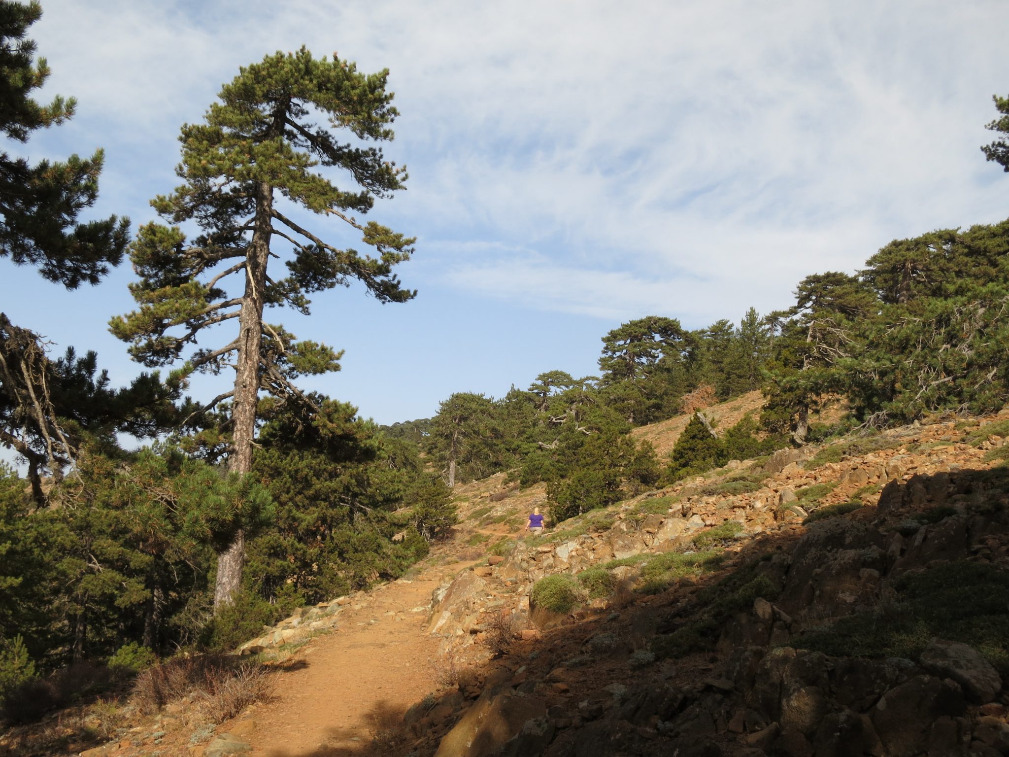 Cyprus forest and mountains – Luphen reborn