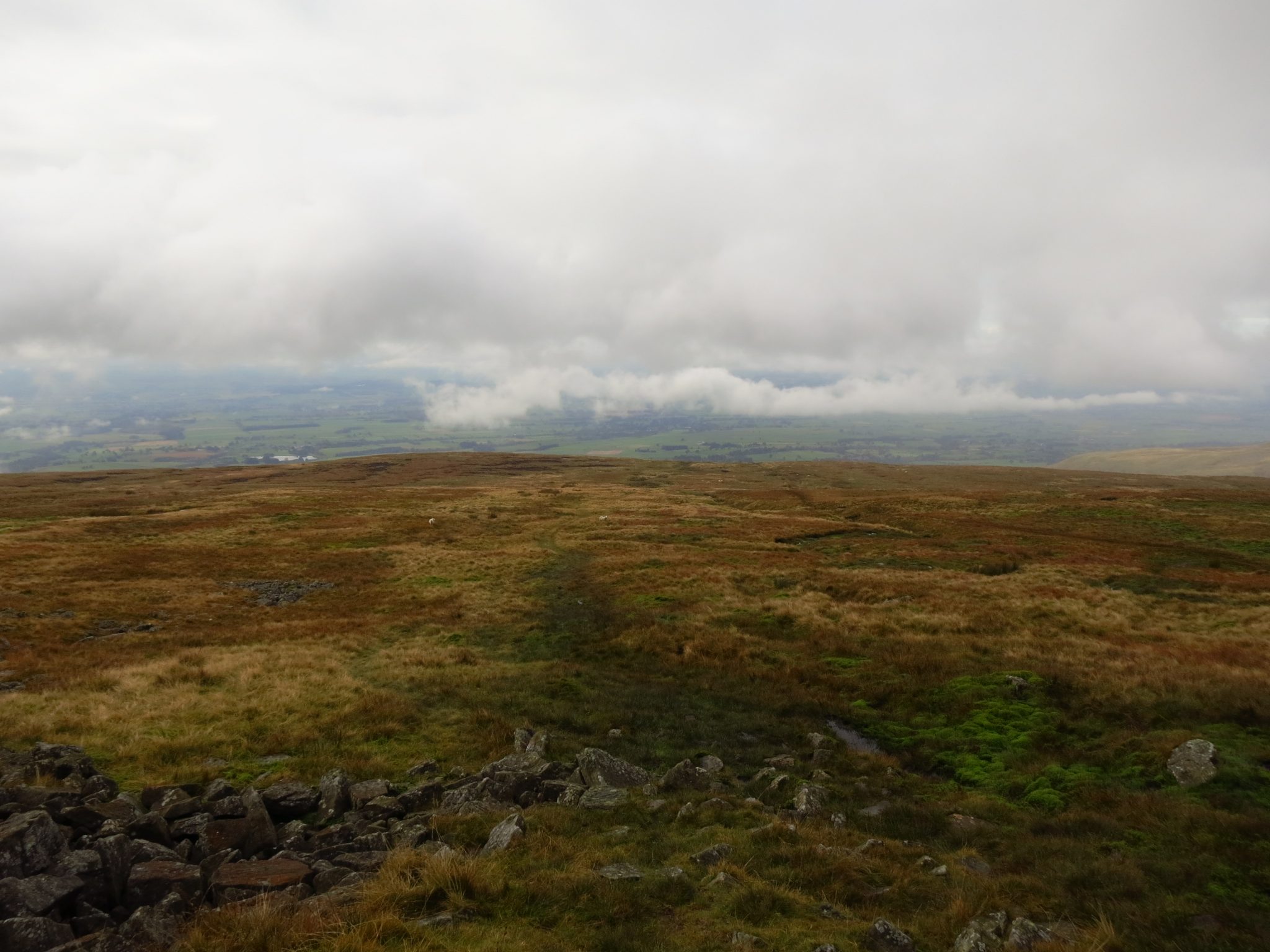 Cross Fell – Luphen reborn