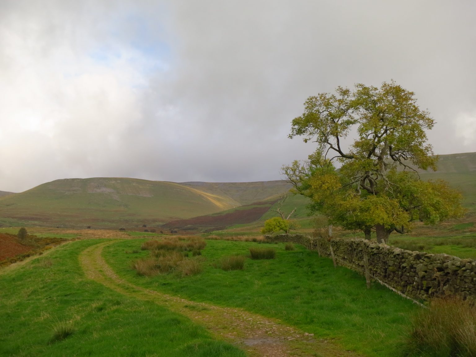 Cross Fell – Luphen reborn